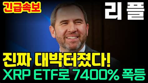 리플 Xrp 긴급속보 진짜 대박터졌다 Xrp Etf로 7400 폭등 Youtube