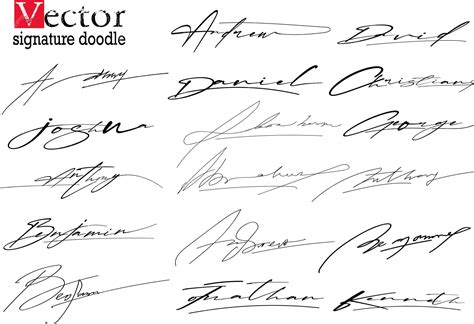 Signature Doodle Hand Written Signature Different Example Signatures