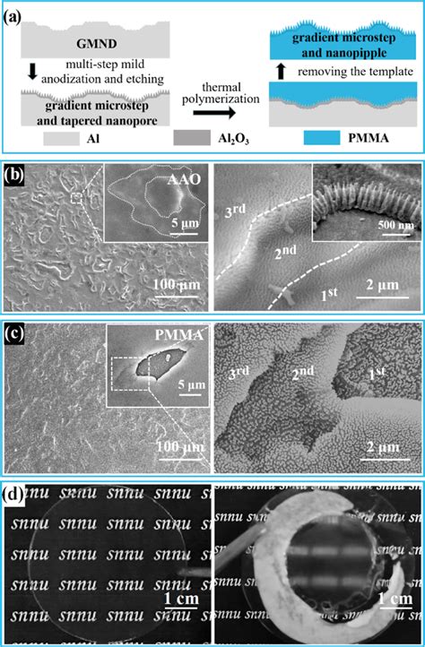 A Schematic Diagram Of Preparing Polymer With A Gradient Microstep