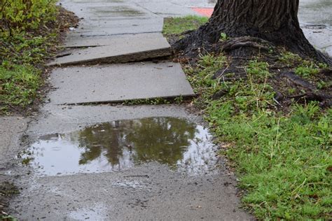 Trees And Property Lines 9 Things All Neighbors Need To Know For Storm Season Bob Vila