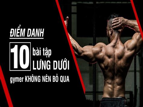 Bài Tập Lưng Dưới Cho Gymmer Cơ Lưng Săn Chắc Khỏe Mạnh