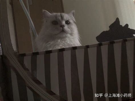 注射用美罗培南配伍稳定性，如何判断？药厂的测试等情况说明 知乎