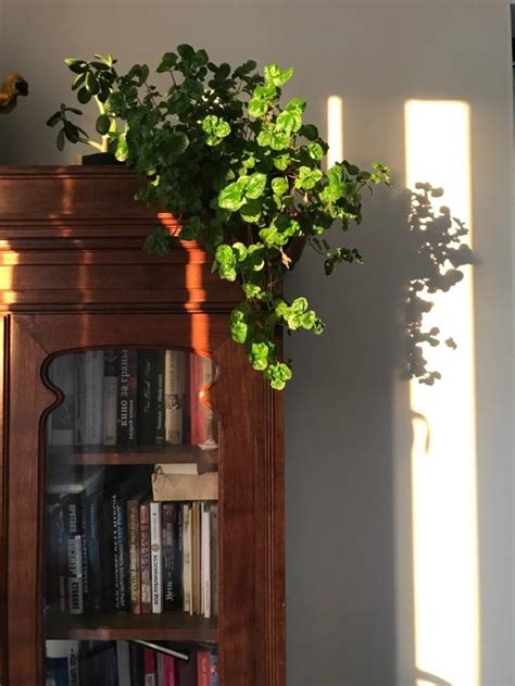 Mooi Homes සමහර අය පොත් වගේ වෘත්තීයම මට්ටමෙන් හරුනාම මිනිසුන් එක්ක සංවාදයන්