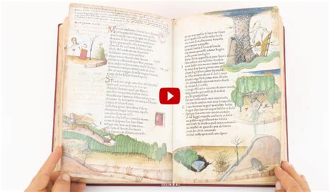 The Luttrell Psalter A Treasure Of Medieval Imagination