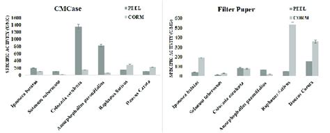 Cellulase Activity Of Different Crops A Cmcase B Filter Paper Assay Download Scientific