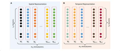 Representation Of Spatial And Temporal Patterns A Minicolumns That Download Scientific