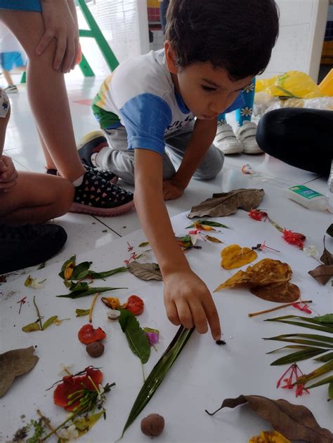 Escola Criar E Recrear Exibição