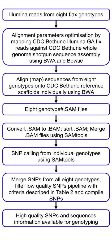Snp Discovery Pipeline Using Illumina Gaiix Sequence Reads Of Eight Download Scientific Diagram