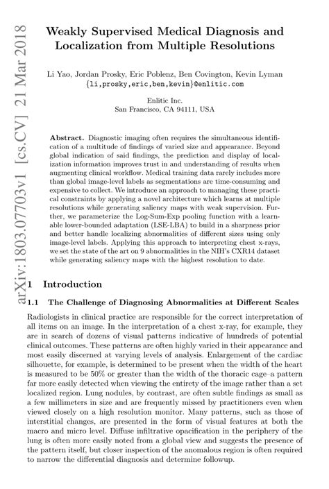 Pdf Weakly Supervised Medical Diagnosis And Localization From Multiple Resolutions