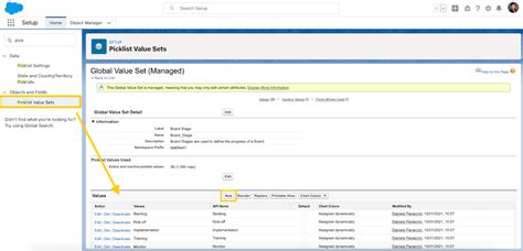 How To Add New Picklist Values For Stages And Team Roles — Knowledge Base — Precursive