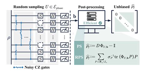 Phase Shadows Enable Robust Quantum State Estimation With Limited Connectivity Qubits