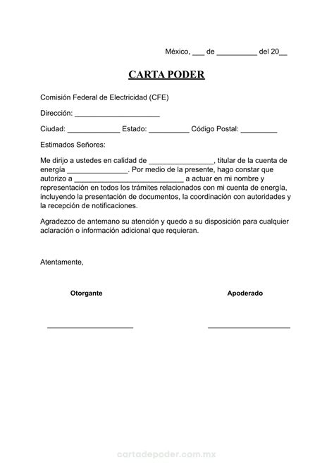 Carta Poder Cfe 10 Ejemplos En Word Y Pdf 2026 ️