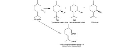 Proposed Metabolic Pathways Of Citronellal In Rabbits According To