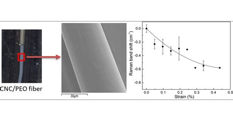 Injectable Highly Loaded Cellulose Nanocrystal Fibers And Composites Acs Macro Letters