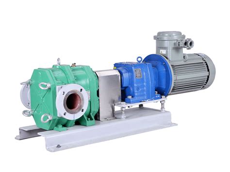 Rotary Lobe Sludge Pump