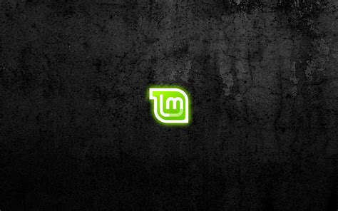 1920x1200 1920x1200 Mint Desktop Wallpaper Coolwallpapersme