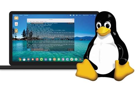 What Is Linux Screen How To Install It DED9