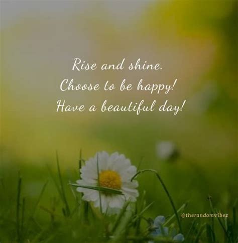 Rise And Shine Quotes 110 Rise And Shine Quotes And Captions To Start