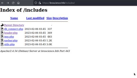Hackthebox Machines Broscience Writeup Byte Mind