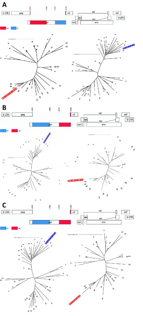 Three Unique Recombinant Form Genome Maps And The Separate Phylogenetic Download Scientific