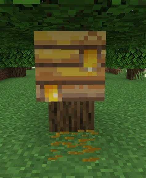Minecraft How To Move A Beehive With Bees Without Getting Stung