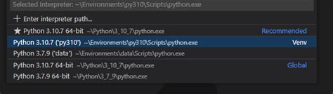 How Do I Prevent Visual Studio Code From Accessing And Showing Global Python Installations On My