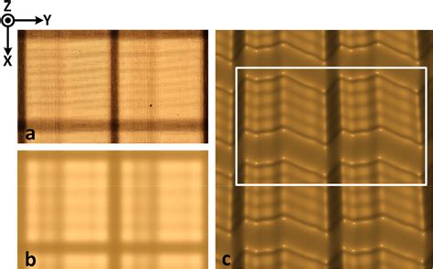 A B Optical Micrograph Of Two Unit Cells Of The Manufactured Download Scientific Diagram