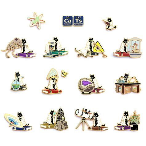 Quantum Physics Cat Hard Enamel Pin Frost Dragon Designs