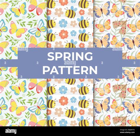 Collection Of Spring Pattern Ornament For Package Colorful Vector