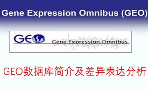 geo数据库简介及差异表达分析 哔哩哔哩 bilibili