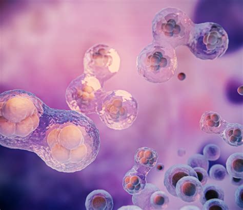 类器官疾病模型库 类器官模型和芯片技术的领导者