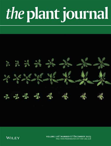 Dynamic Transcriptome Landscape Of Developing Maize Ear Shen 2023 The Plant Journal