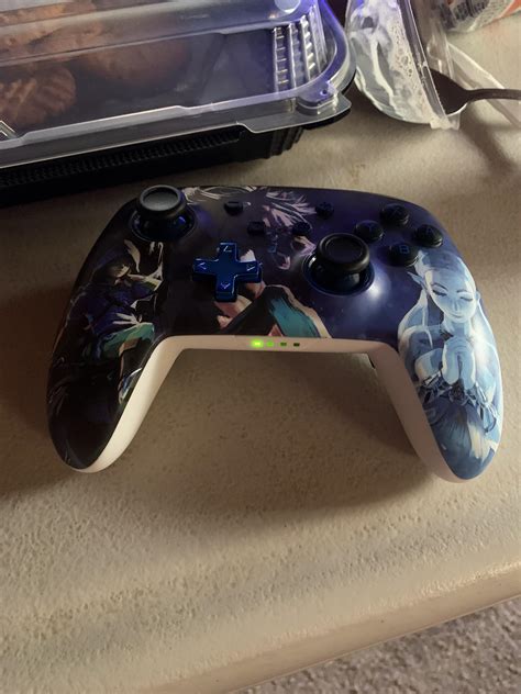 Recently Got This Botw Controller Design Time To Play Botw Breath Of The Wild