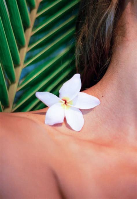 Spa And Massage 2 Wordpress Theme Xtra Elementor Wp Theme