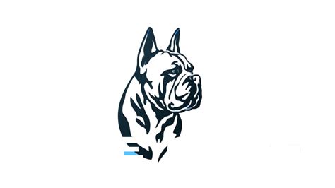 Managing Aggression In Cane Corsos A Comprehensive Guide