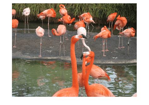 Getpixelvalue Get Pixel Value As Numeric Array Matlab