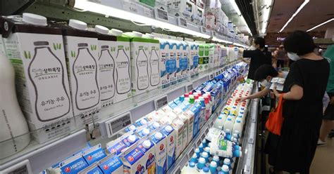 세계식량가격 5개월 연속 하락우크라이나 곡물 수출 재개 영향