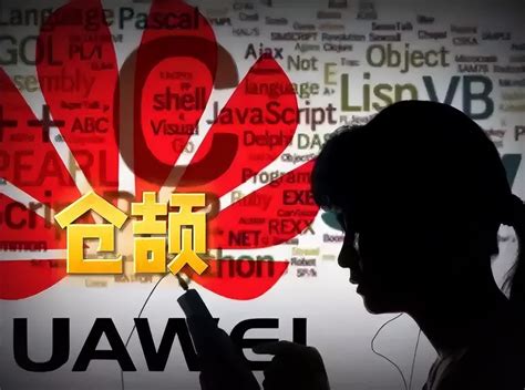 华为“仓颉”不是中文编程，中文编程早有所属，势如破竹 仓颉编程语言官方中文版 csdn博客