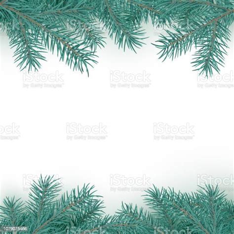 전나무 분기 테두리 패턴입니다 겨울 인사말 텍스트 복사 공간 흰색 바탕에 휴일 장식 요소입니다 벡터 일러스트 레이 션 0명에 대한 스톡 벡터 아트 및 기타 이미지 Istock