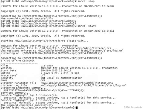 Oracle 19c Rac 通过dblink Gateway访问sqlserver Csdn博客