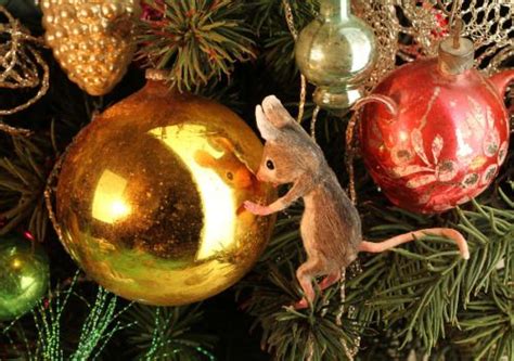 Free To Be Scotty Christmas Christmas Mouse Merry Christmas