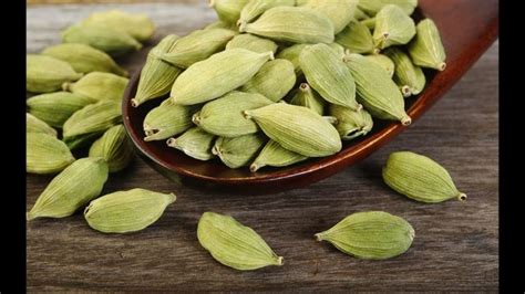 ილი ჯანმრთელობისა და სხეულის ლამაზი ფორმებისთვის უბრალოდ დაღეჭეთ