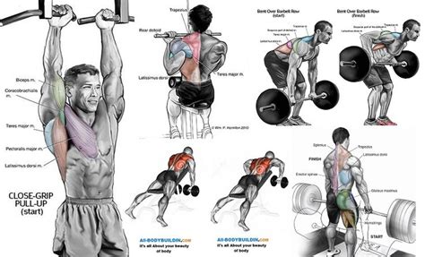 How To Build Upper Back Muscles