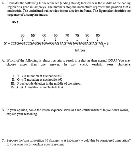 Solved A Consider The Following Dna Sequence Coding