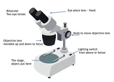 How Does A Digital Microscope Work At Eldon Berthold Blog