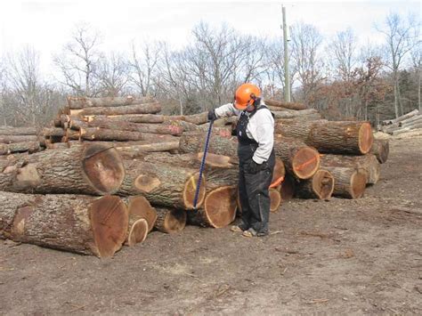 Log Scales Logrite Com LogRite Tools LLC