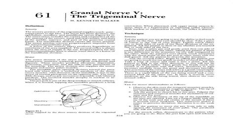 Pdf 61 Cranial Nerve V The Trigeminal Nerve Famona Site Cranial Nerve V The Trigeminal