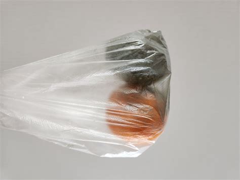 해연갤 ㅅㅌㅁㅇ ㅎㅈㅇ 귤 곰팡이