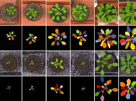 Your Images And Videos Annotated To Train Your Ai Models Upwork