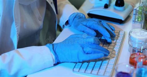 Scientist Typing On Computer Keyboard In Laboratory And Chemical
